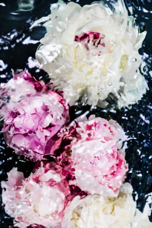 Artist Spotlight: Photographer Jessica Kenyon