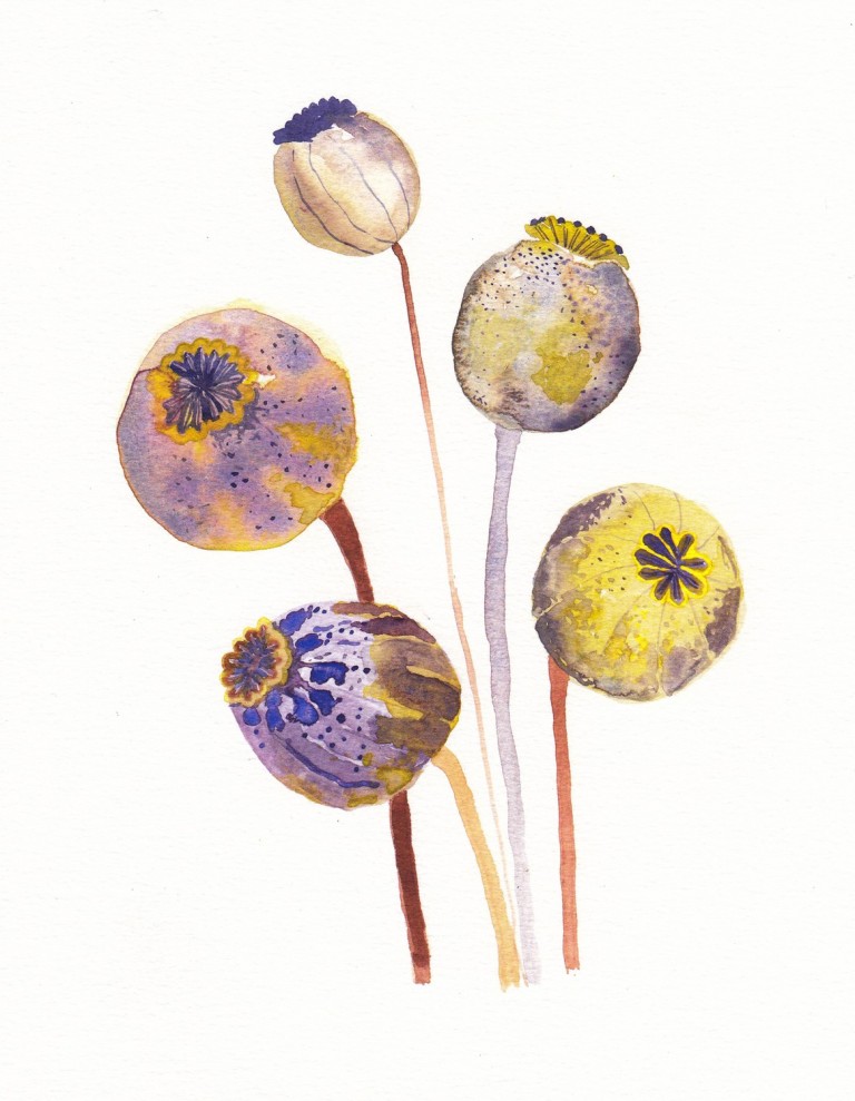 Artist Spotlight: Michelle Morin