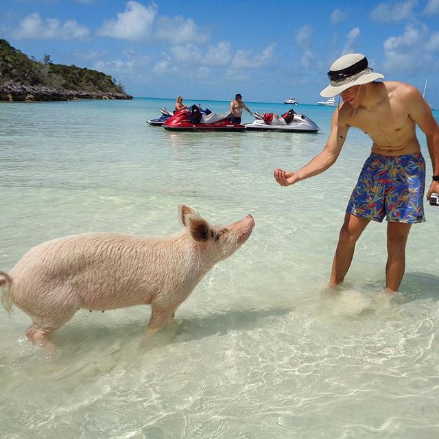 Pig-Beach-Swimming-Big-Major-Cay-Bahamas-9