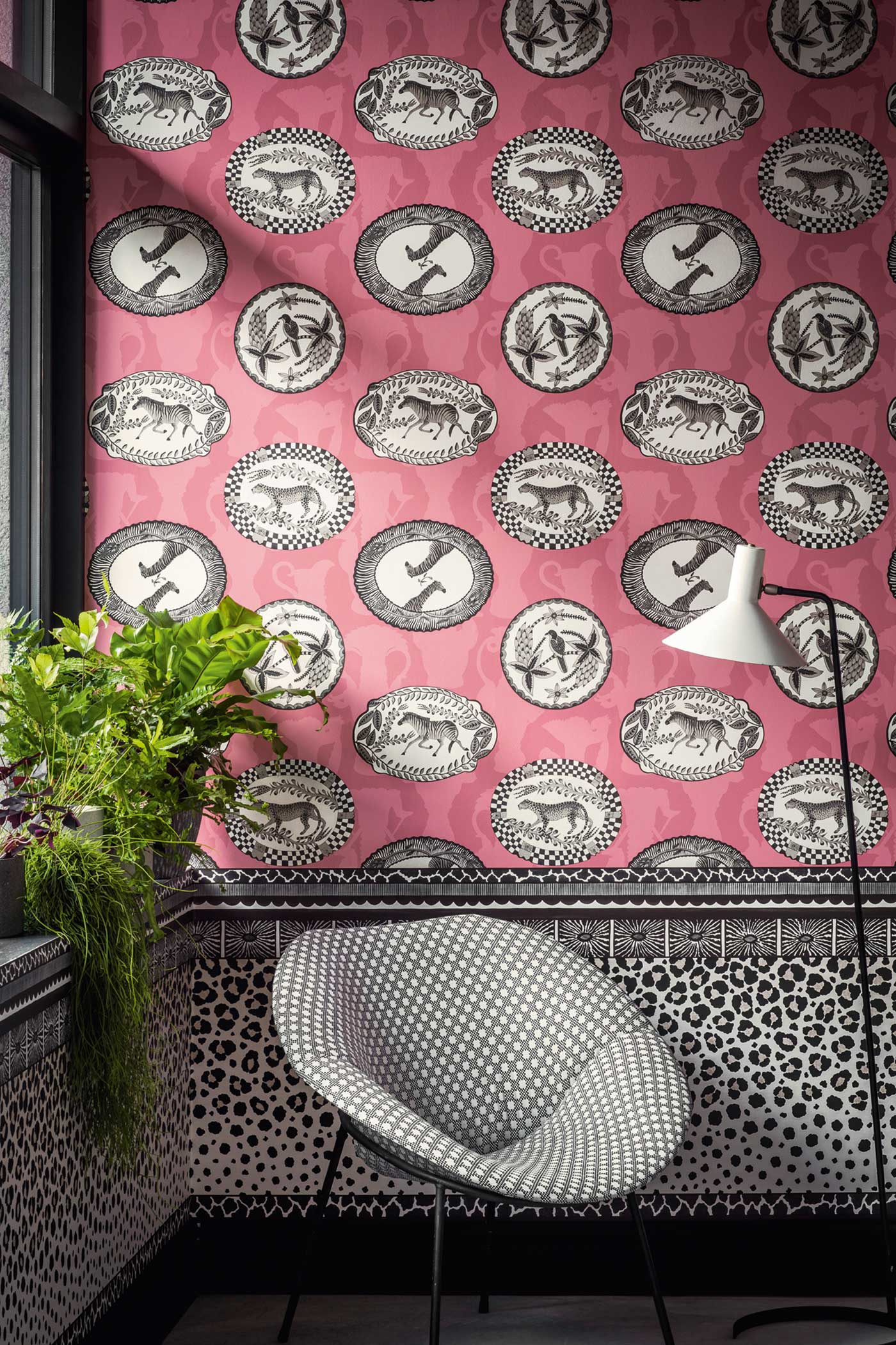 Cole & Son Ardmore Collection