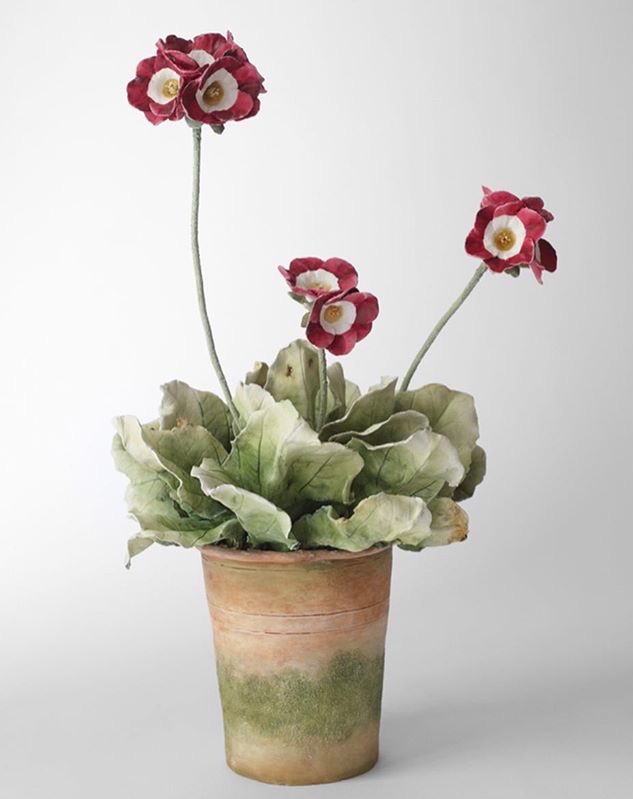 clare-potter-artist-porcelain-flowers-15