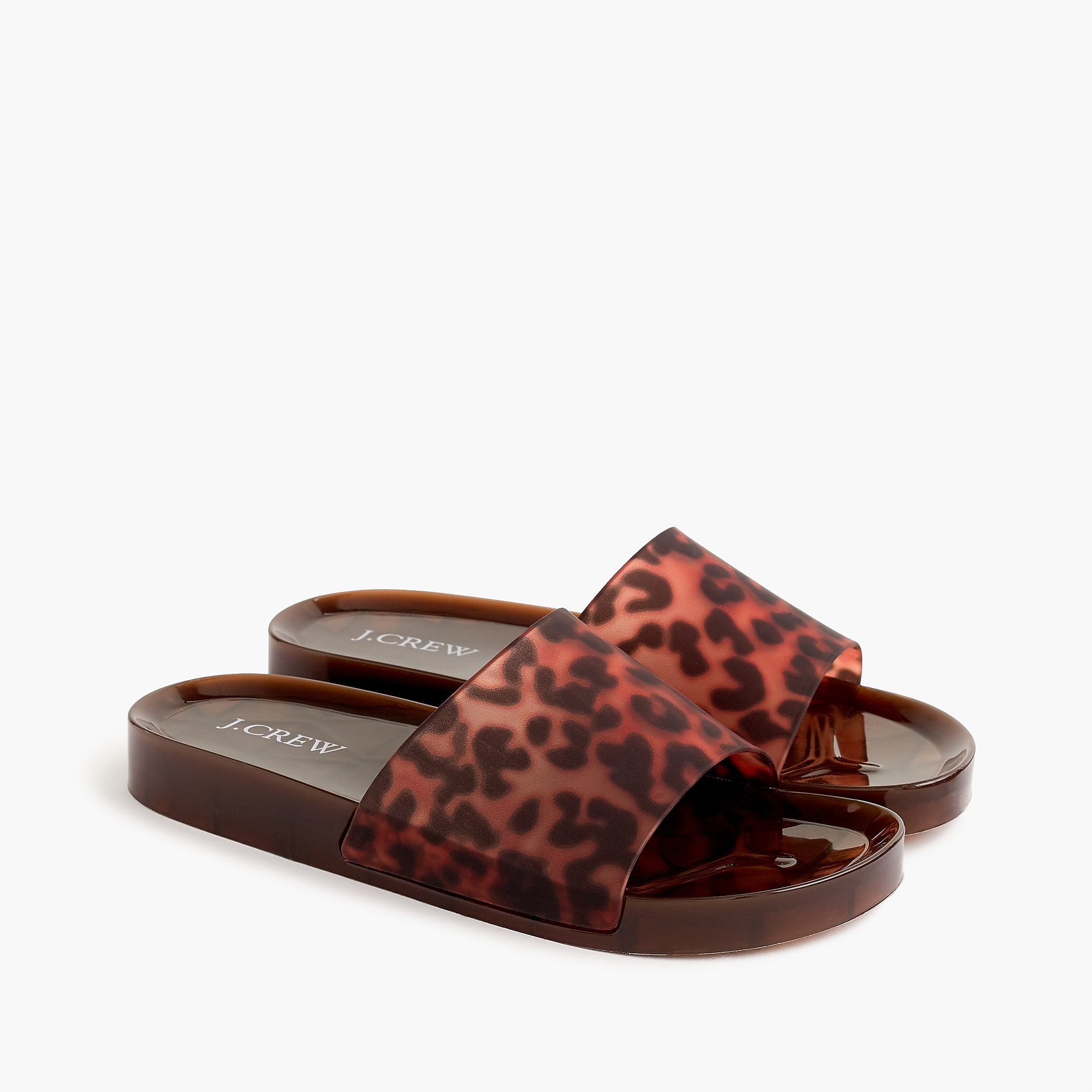 tortoise-pool-slides