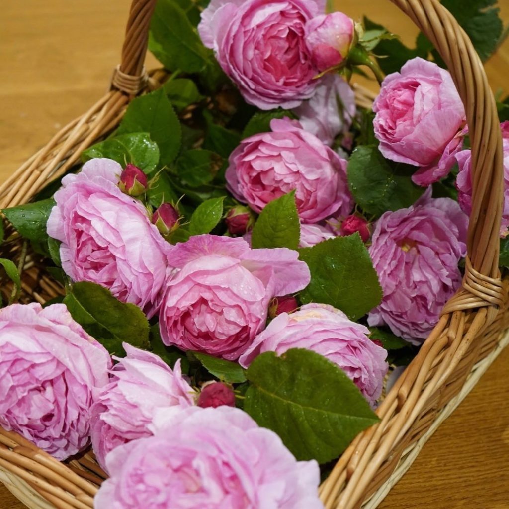 Explore Amanda Clark’s Stunning Seend Manor