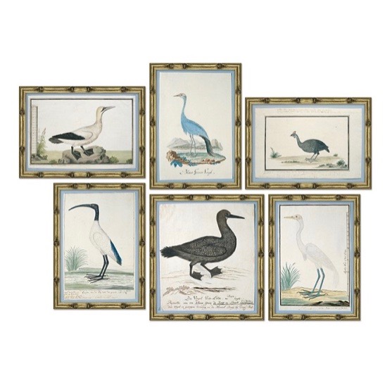 set-of-six-bird-studies-art-prints-antique-reproductions